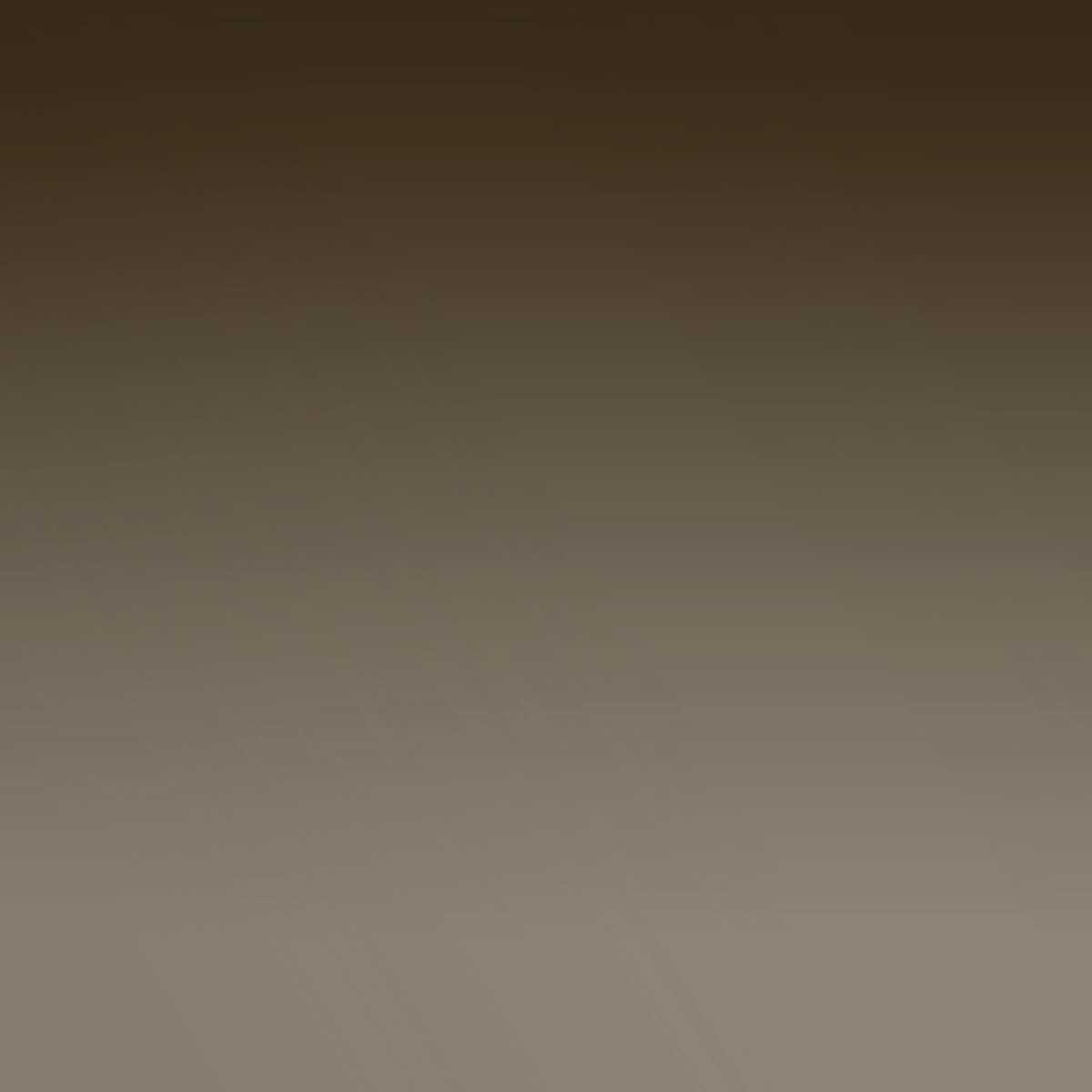 Curations Limited Moscow Brushed Brass / Smoked Glass Round Dining ...