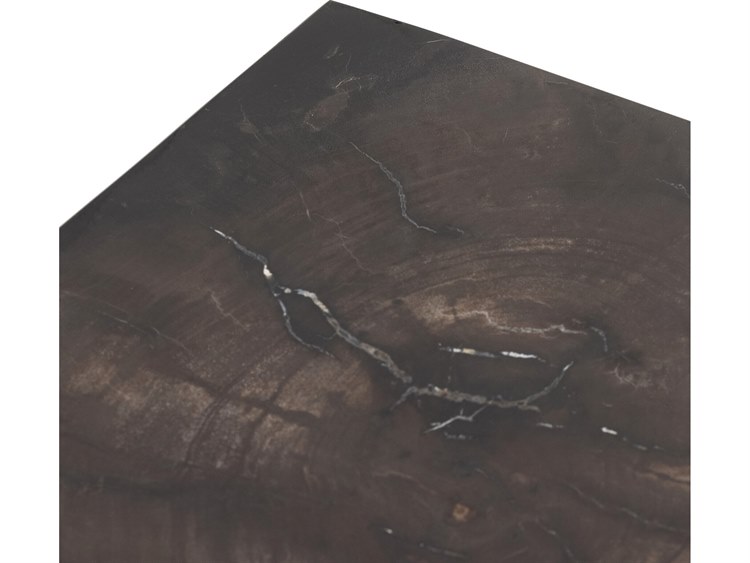 Four Hands Palu Buck Square Dark Petrified Wood End Table | FS227730001