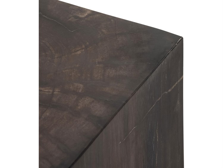 Four Hands Palu Buck Square Dark Petrified Wood End Table | FS227730001