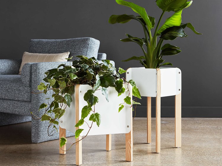 Gus* Modern Atrium White / Ash Natural 22" High Plant Stand ...