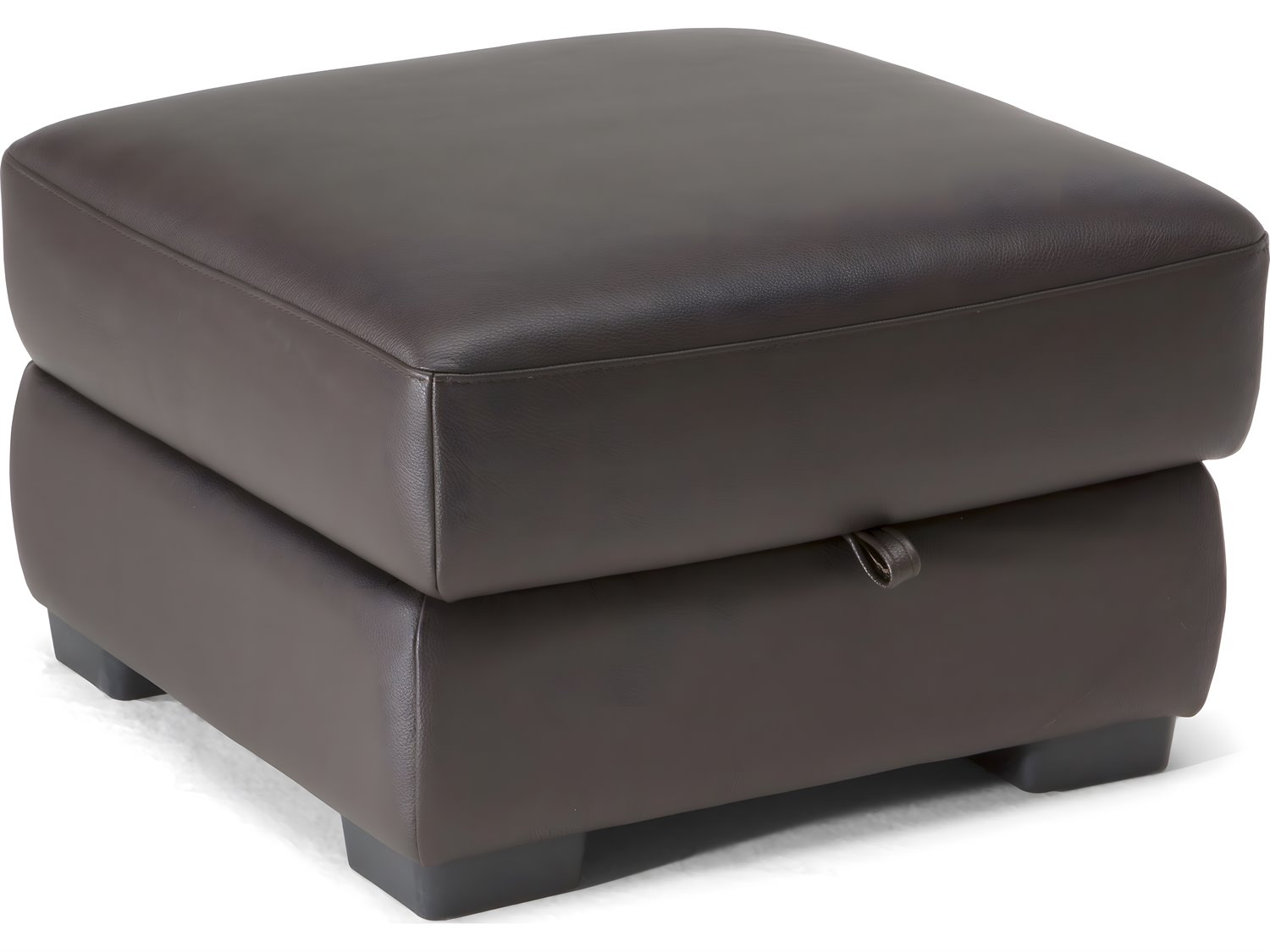 Natuzzi Editions Gaia Storage Ottoman with Piston | NTZA921653