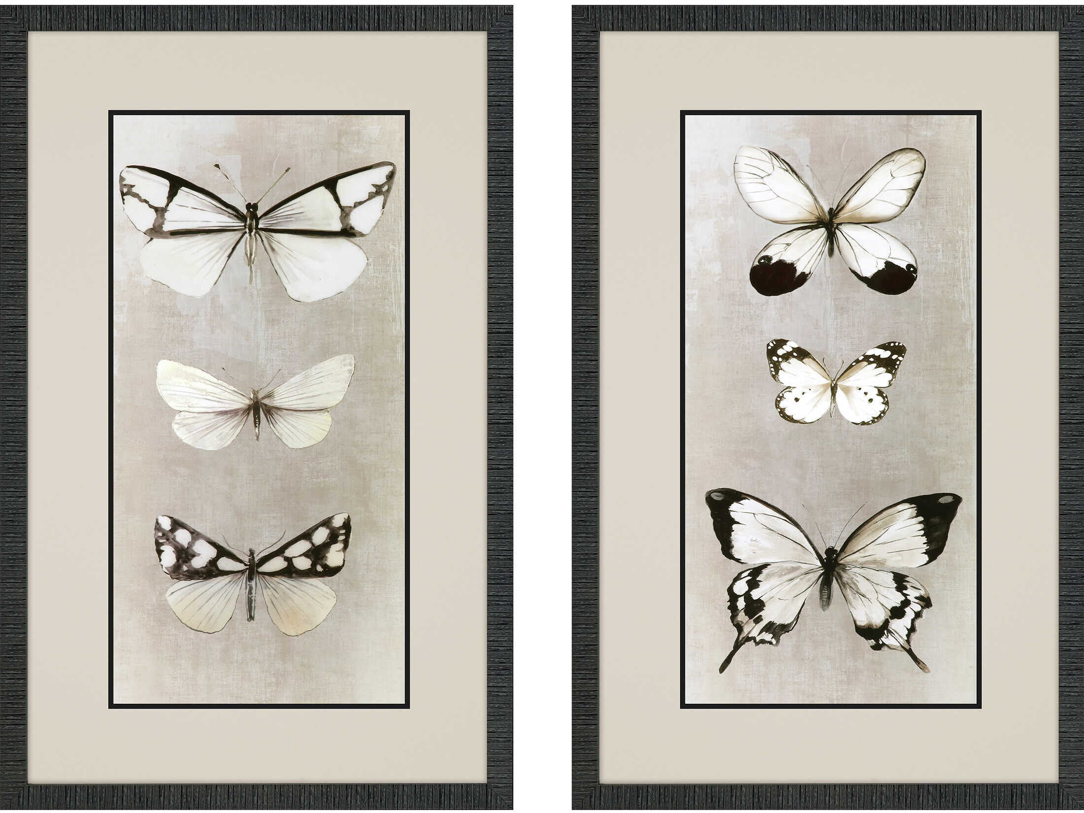 Paragon Animals Delicate Butterflies Wall Art (Set of 2) | PAD15651
