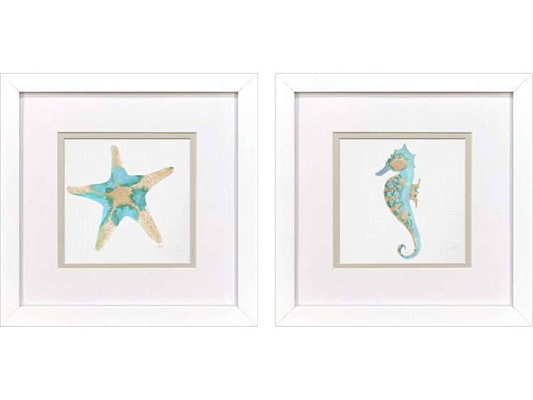 Paragon Sea Creatures I Framed Art - Set of 2 | PAD48769