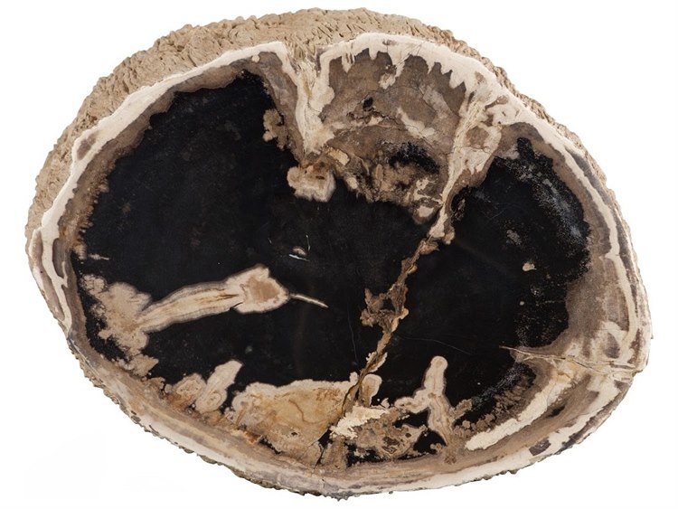 Phillips Collection Beige Black Brown Accent Stool | PHCID119997