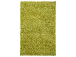 Chandra Zara Shag Area Rug | CDZAR14512